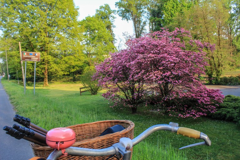 Moscazzano – beyond the villa – "Somewhere in northern Italy"